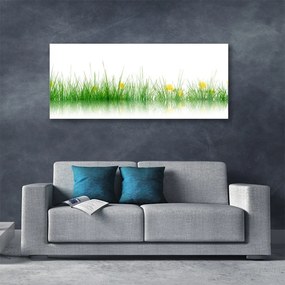 Plexisklo-obraz Příroda Tráva Květiny 125x50 cm