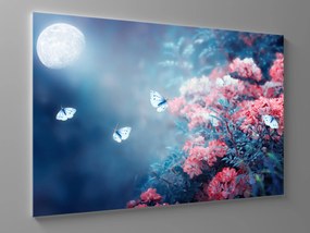 Liox Obraz motýli v úplňku Rozměr: 150 x 100 cm