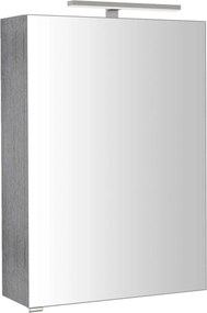 Sapho Riwa - Zrcadlová skříňka s LED osvětlením 50x70x17 cm, dub stříbrný RIW050-0011