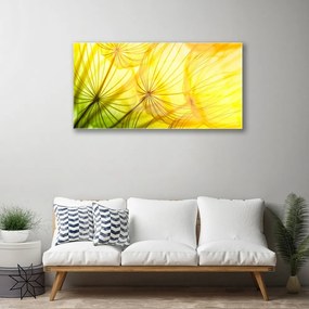 Obraz na skle Pampelišky Květiny Příroda 100x50 cm