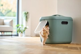 Rotho Kočičí toaleta, krytý záchod pro kočky CAT XXL - zelená