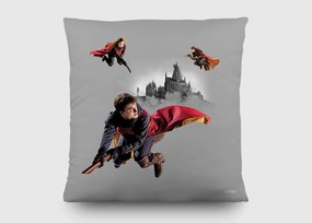 Dekorativní polštářek Harry Potter | 40 x 40 cm | DCND3157