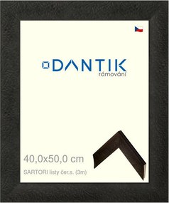 DANTIK rámeček 40x50 | SARTORI listy čer.s. (Plexi Čiré)