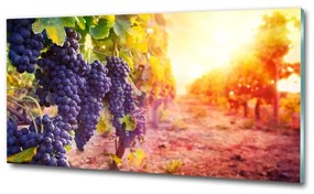 Wallmuralia Foto obraz skleněný horizontální Hrozny a víno 100x50
