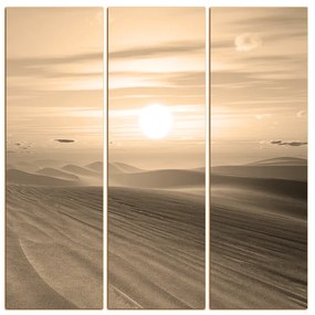 Obraz na plátně - Pouštní západ slunce - čtverec. 3917FB (75x75 cm)