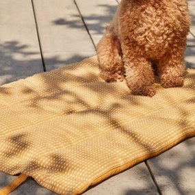 OnaDnes -20% Žlutá cestovní deka pro psy Kave Home Trufa 50 x 70 cm