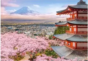 Castorland 54282 Puzzle Jaro v Japonsku / 500 dílků / od 9 let