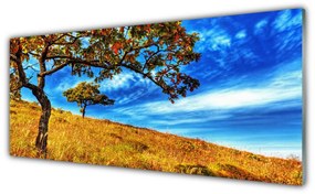 Plexisklo-obraz Louka Strom Příroda 125x50 cm