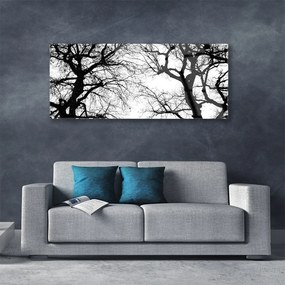 Plexisklo-obraz Stromy Příroda Černobílý 125x50 cm