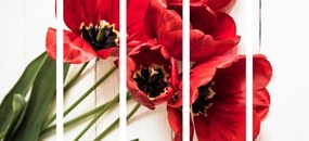 5-dílný obraz rozkvetlé červené tulipány - 200x100 cm