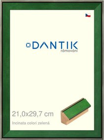 DANTIK rámeček 21x29,7 | INCLINATA colori zelená (Sklo Čiré)