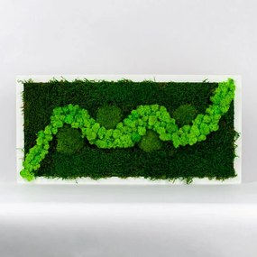 Mechový obraz | 49x22 cm | Zelený háječek - bílý rám