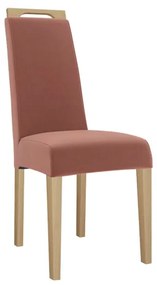 Jídelní židle JK79, Barva dřeva: buk, Potah: Magic Velvet 2250