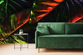 Samolepící tapeta tropické palmové listy - 225x150 cm