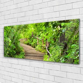 akrylový obraz Schody Příroda 125x50 cm