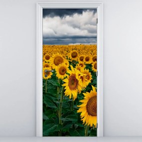 Fototapeta na dveře - Slunečnicové pole (95x205cm)