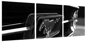 Detailní obraz automobilu značky Mustang  (90x30 cm)