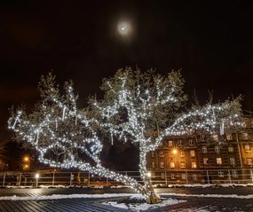 LED světelný řetěz FLASH, 100 m, ledově bílá, 600 diod, IP67