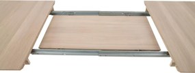 ACTONA Sada dvou prodlužovacích desek ke stolu CENTURY světlá 50x100 cm