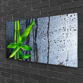 Obraz na skle Bambus List Rostlina Příroda 125x50 cm