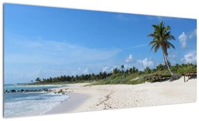 Exotická pláž - obraz (100x40cm)