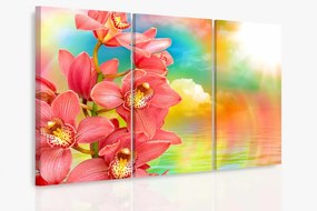 Malvis ® Vícedílný obraz - Orchidej a duha Velikost: 120x80 cm