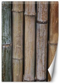 Fototapeta, Bambusová stěna Textura pozadí - 150x210 cm