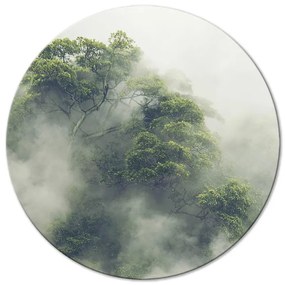 Kulatý obraz Ráno - zelený rozložitý strom zahalený v mlze