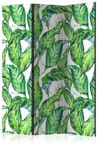 Paraván Long Leaves Dekorhome