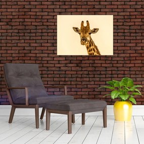 Skleněný obraz žirafy (70x50 cm)