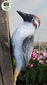 zahradní dekorace pták žlůna