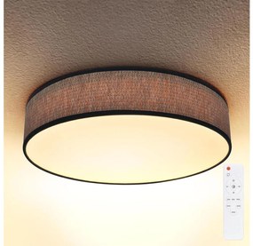 Brilagi - LED Stmívatelné stropní svítidlo ADELA LED/48W/230V 3000-6500K + DO