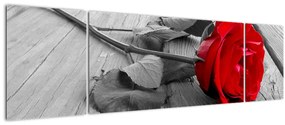 Obraz rudé růže (170x50 cm)