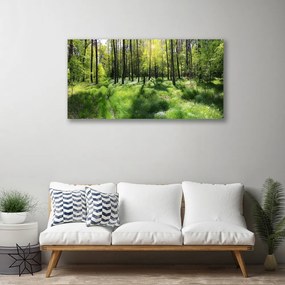 Obraz na plátně Les Tráva Rostlina Příroda 100x50 cm