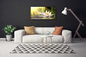 Obraz na plátně Květ Vodní Lilie 125x50 cm