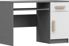 IDZ Psací stůl SMYK II 08, 110 cm Bílá + Grafit / Barevné úchytky Barva: Dub