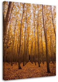 Obraz na plátně Listy březového lesa žluté - 70x100 cm