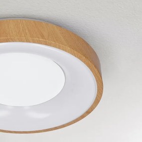 Brilagi - LED Stropní svítidlo DORIA LED/24W/230V