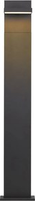 LA 1002992 ABRIDOR POLE 100 Outdoor, stojací LED svítidlo, IP55, antracitové, 3000/4000K - BIG WHITE (SLV)