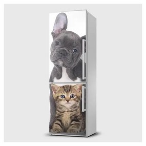 E-shop24, Pi51SL1285, Rozměr 65x180 cm, Fototapeta samolepící na lednice - Pejsek s kočičkou