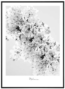 Flower mahonia - 50x70 cm Obraz