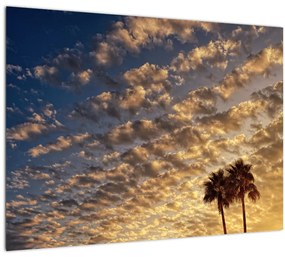 Skleněný obraz - Palmy mezi mraky (70x50 cm)
