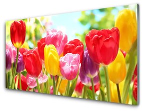 Obraz na skle Tulipány Květiny Rostlina 125x50 cm