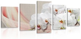 5-dílný obraz bílá orchidej na plátně Varianta: 200x100