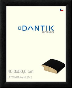 DANTIK rámeček 40x50 | LEDVINKA černá (Plexi Čiré)