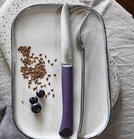 Opinel Bon Appetit + steakový nůž s polymerovou rukojetí 11 cm, fialová, 002191