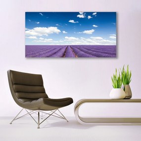 akrylový obraz Louka Květiny Příroda Rostlina 120x60 cm