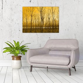 Obraz - Plantáž stromů (70x50 cm)
