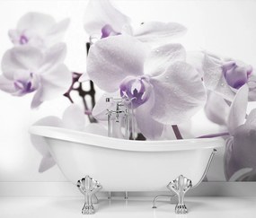 Gario Fototapeta Kvetoucí orchidej Materiál: Vliesová, Rozměry: 200 x 140 cm