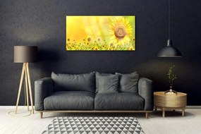 Obraz na skle Slunečnice Květ Rostlina 120x60 cm